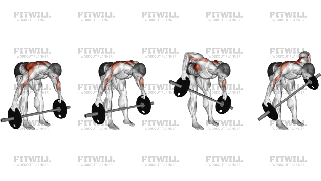 Barbell Bent Over Row: Guide, Techniques, Benefits, How to, Muscles ...