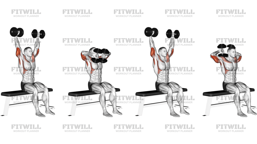 Dumbbell Seated Front and Back Tate Press: Guide, Techniques, Benefits ...