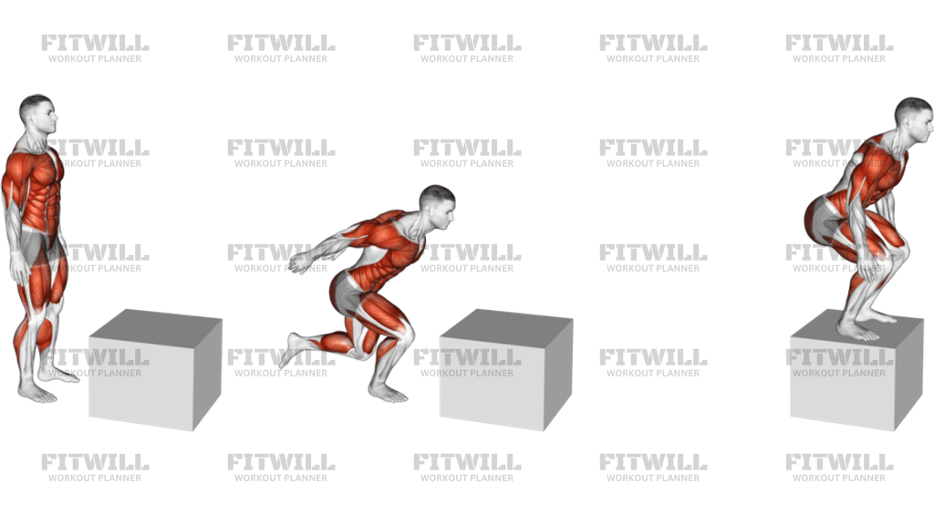 Exercise Library Fitwill