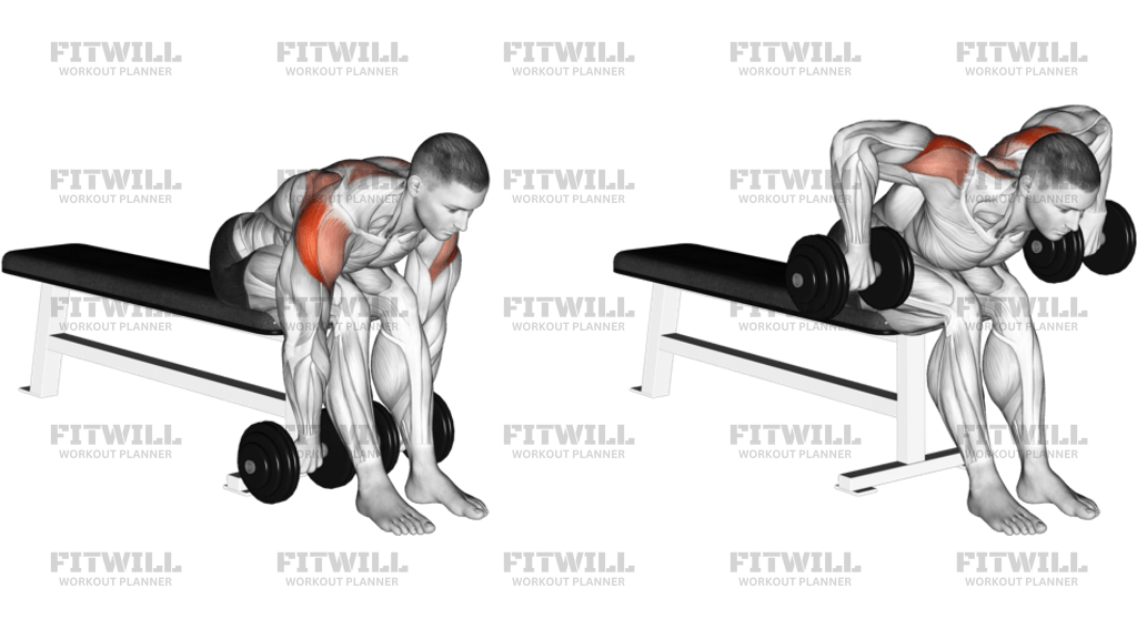 Shoulder Adductor Protractor And Elevator Stretch Guide Techniques
