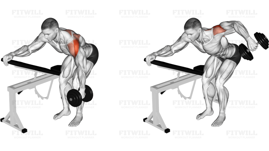 Dumbbell One Arm Reverse Fly (with support) (VERSION 2): Guide ...