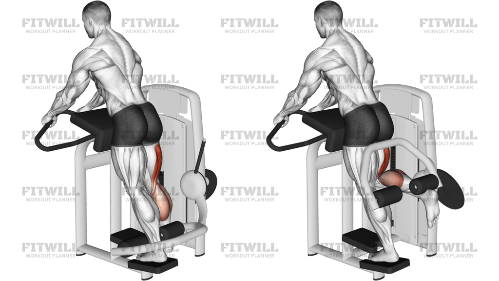 Lever Standing Leg Curl: Guide, Techniques, Benefits, How to, Muscles ...
