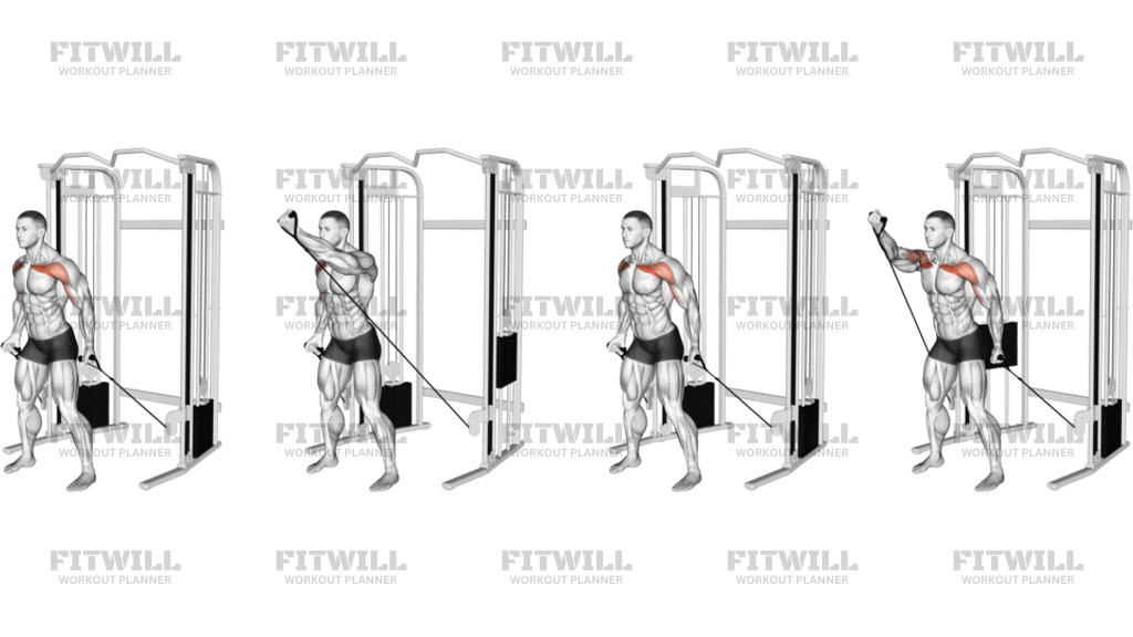 Cable One Arm Lateral Bent-over (R): Guide, Techniques, Benefits, How ...