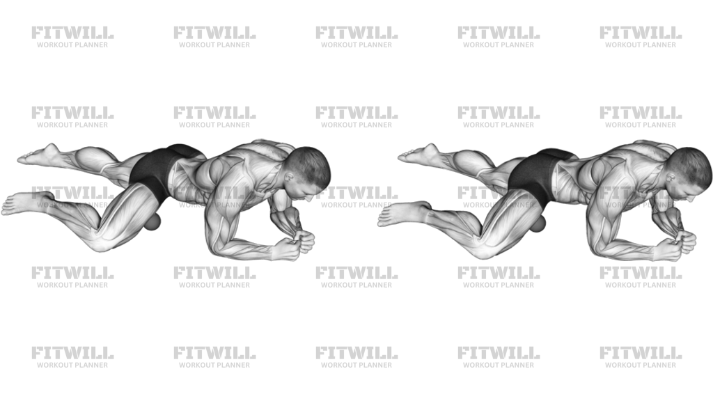 Roll Ball Latissimus Dorsi: Guide, Techniques, Benefits, How to ...