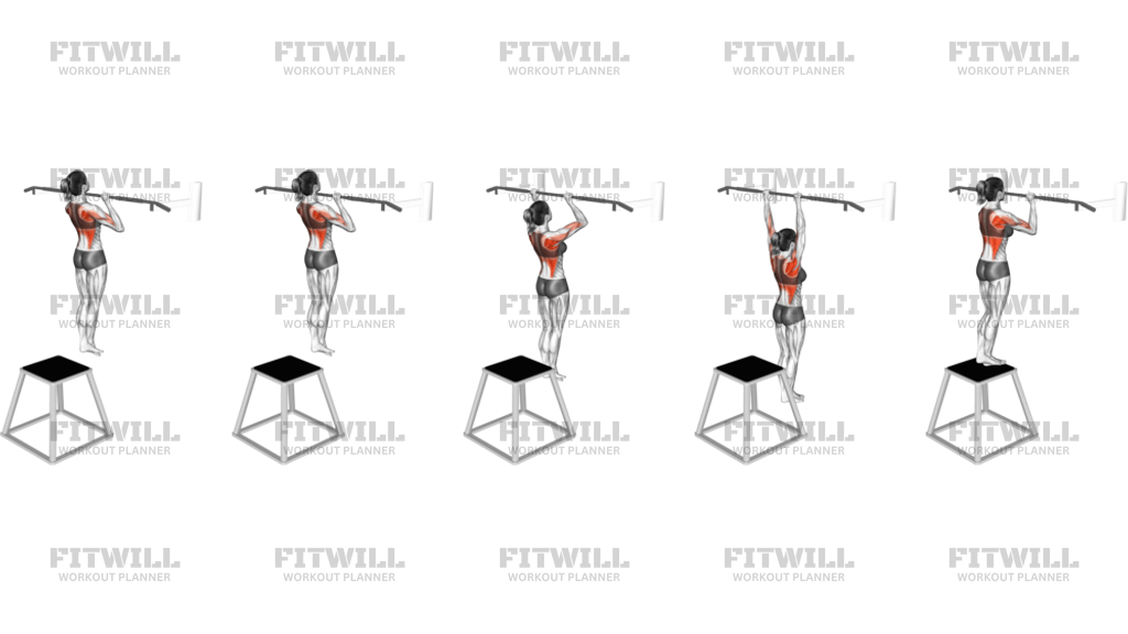 Pull-up (negative): Guide, Techniques, Benefits, How to, Muscles Worked ...