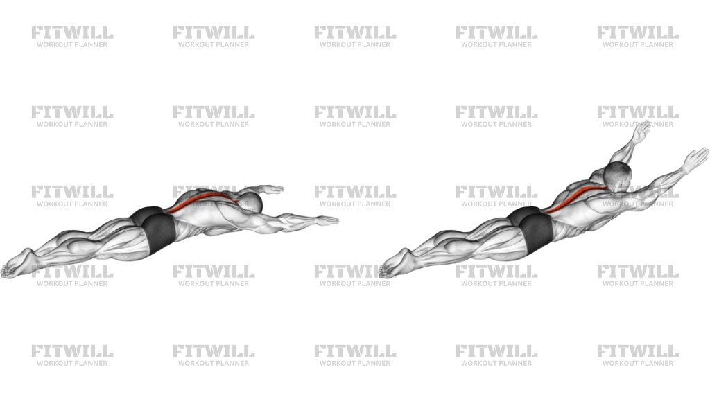 Long Lever Lying Back Extension: Guide, Techniques, Benefits, How to ...