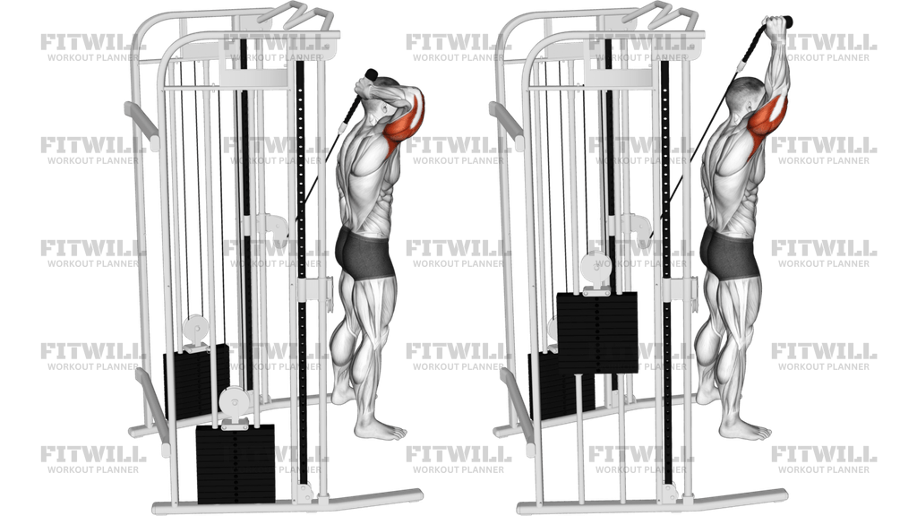 Cable Overhead Triceps Extension (rope attachment): Guide, Techniques ...