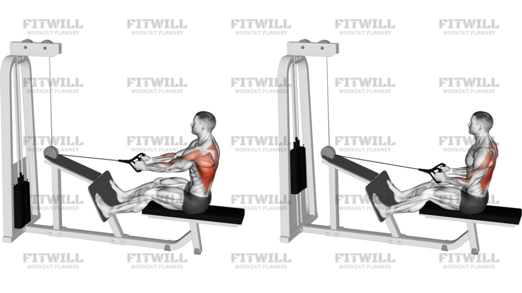 Cable Standing Shoulder External Rotation: Guide, Techniques, Benefits ...