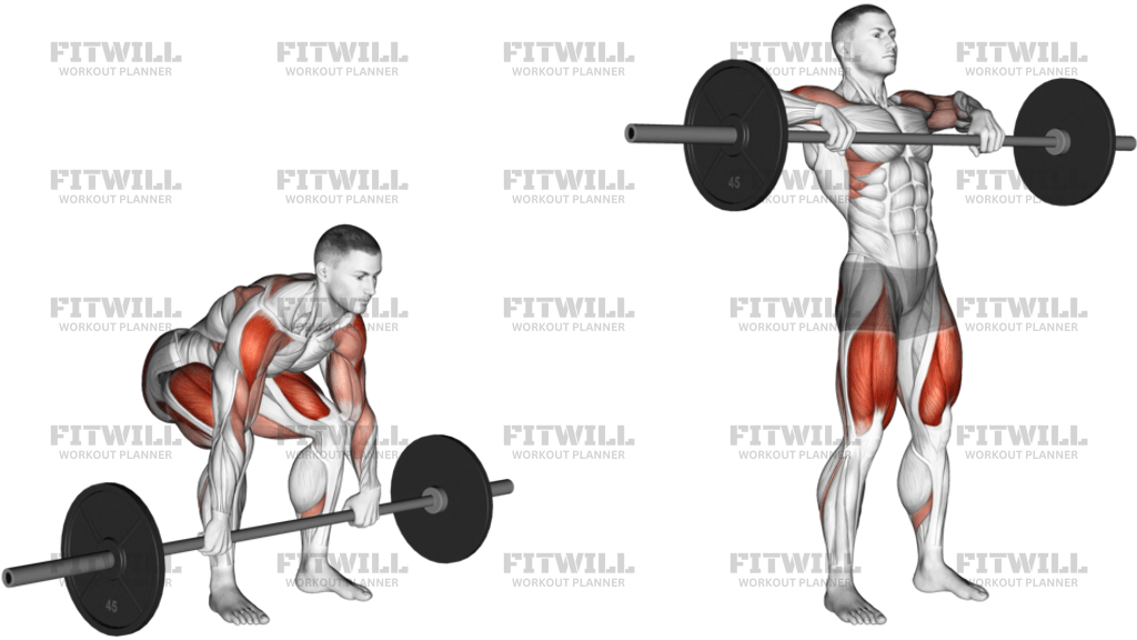 Barbell Clean High Pull: Guide, Techniques, Benefits, How to, Muscles ...