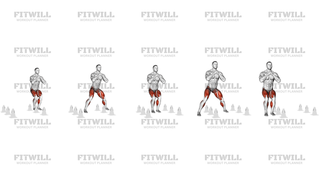 Exercise Library Fitwill