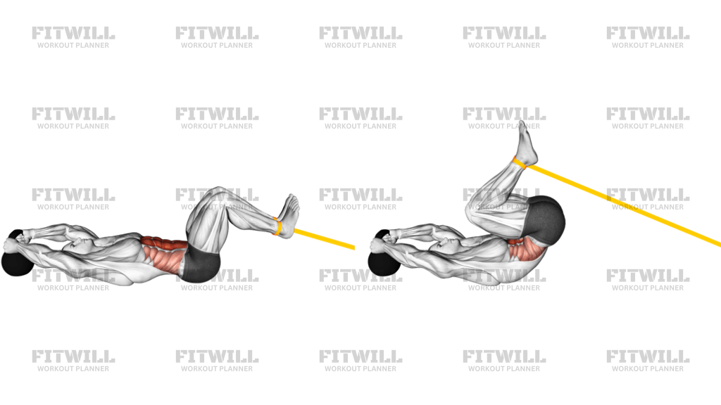 Resistance Band Reverse Hyper with Stability Ball on Flat Bench: Guide ...
