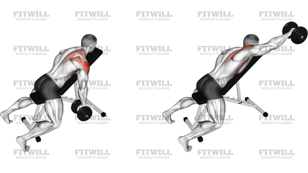 Dumbbell Single Arm Underhand Front Raise: Guide, Techniques, Benefits ...